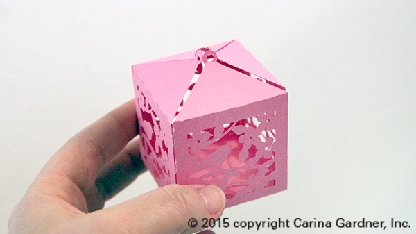 3D Intricate Cutout Boxes for Silhouette